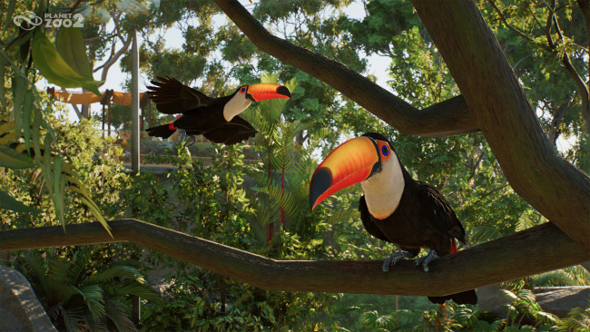 Frontier ogłasza Planet Zoo 2, którego premiera na PC i konsolach ...