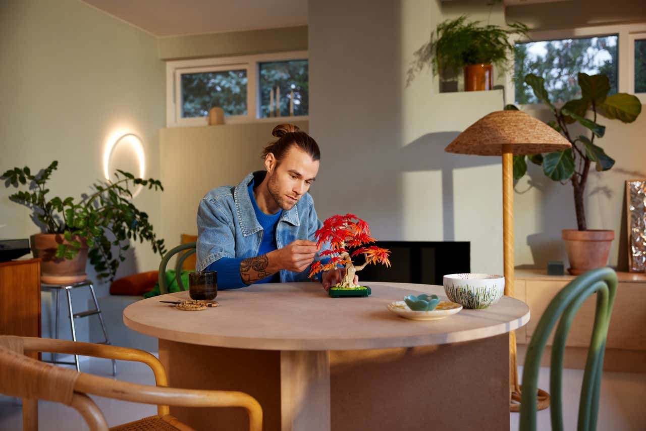 Lego rozszerza gamę Botanicals o grafikę z czerwonym klonem, drzewkiem ...